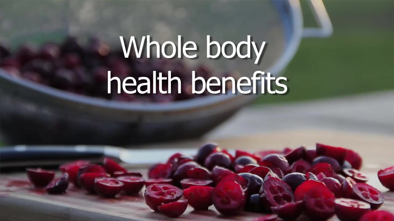 How Helpful Cranberry is to the Human Body - Brighteon .com