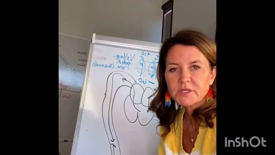 The Heart is an Electromagnetic Field Courtney Hunt MD - Brighteon.com