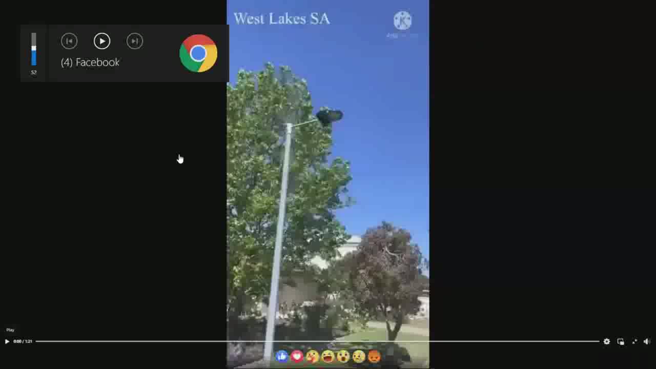 Controlling Genes With Street Lights L17-A Helping To Bind mRNA's ...