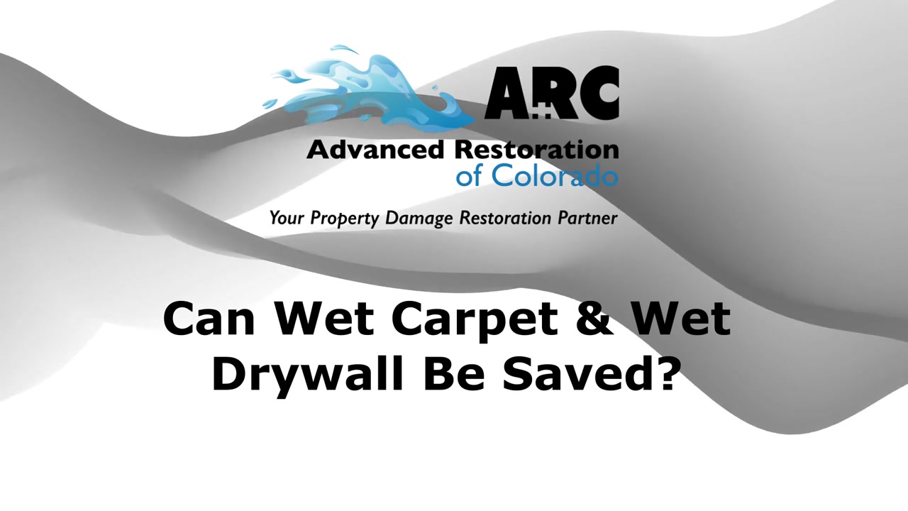 Can Wet Carpet & Wet Drywall Be Saved - Brighteon .com
