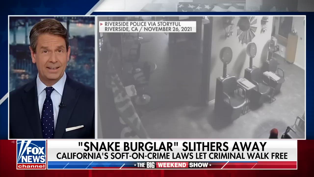 'SNAKE BURGLAR FREED': California's soft-on-crime laws allow criminal ...