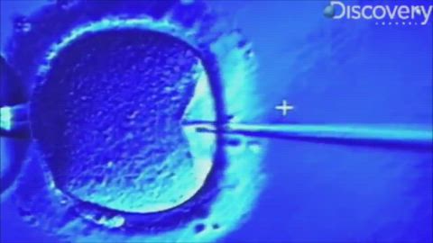 Dr. Peter David Beter speaking on Organic Robotoids / Clones / Droids ...