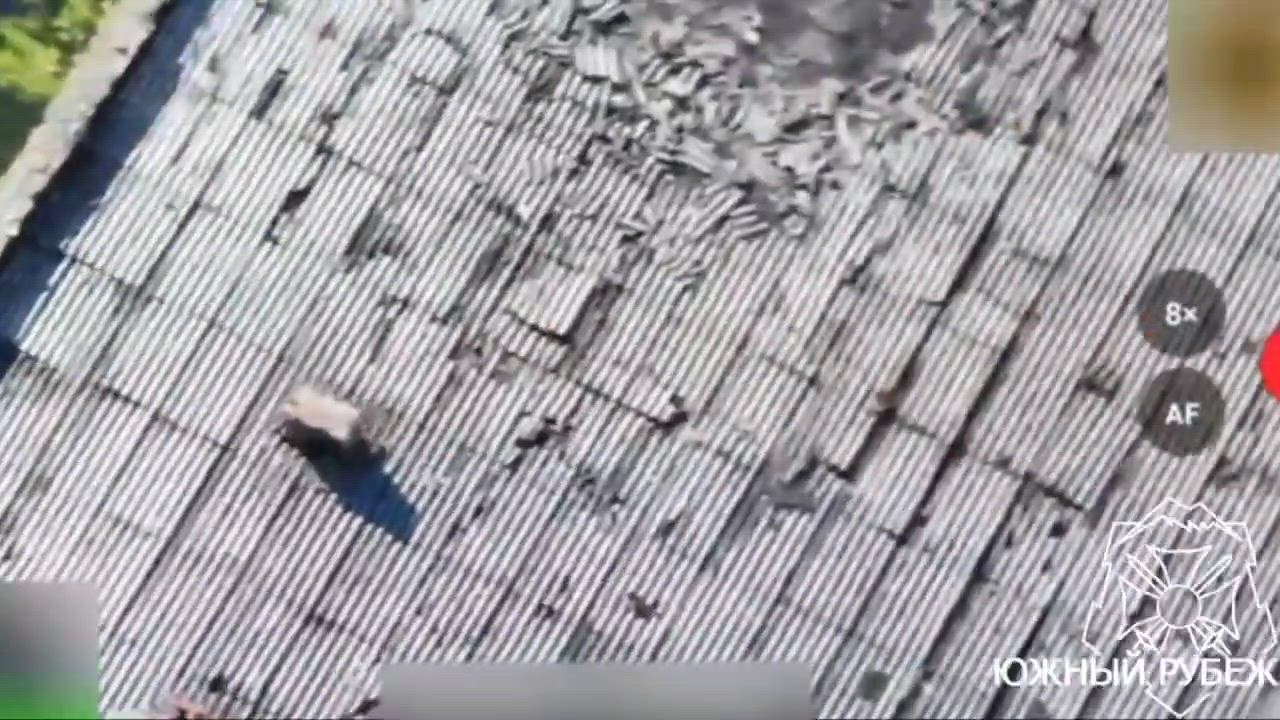 💥The 81st Separate Airmobile Brigade of the Ukrainian army was ...