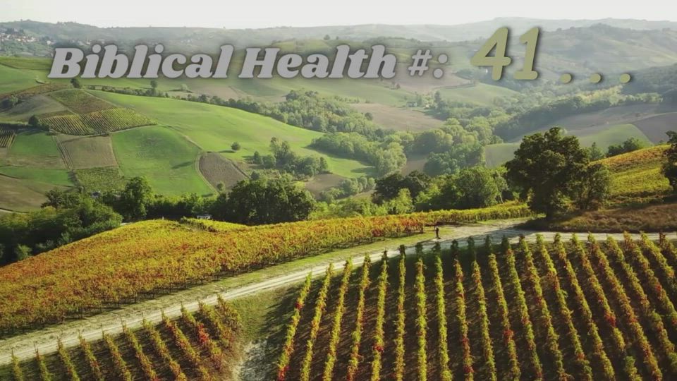 Biblical Health # 41; Clown World #2: Covid-19 & The Bullshit Of Sins ...