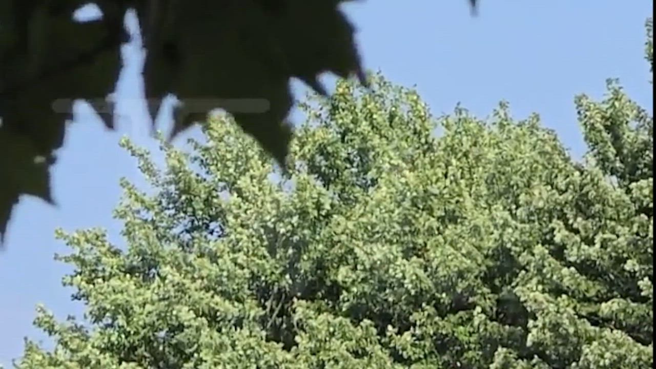 Was Thomas Matthew Crooks a Patsy? - Brighteon .com